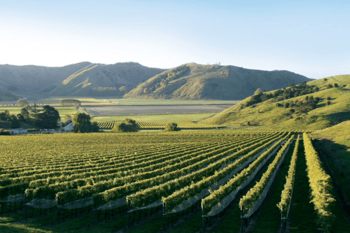 Leadership Insights: Logan Boyce’s Journey at Indevin