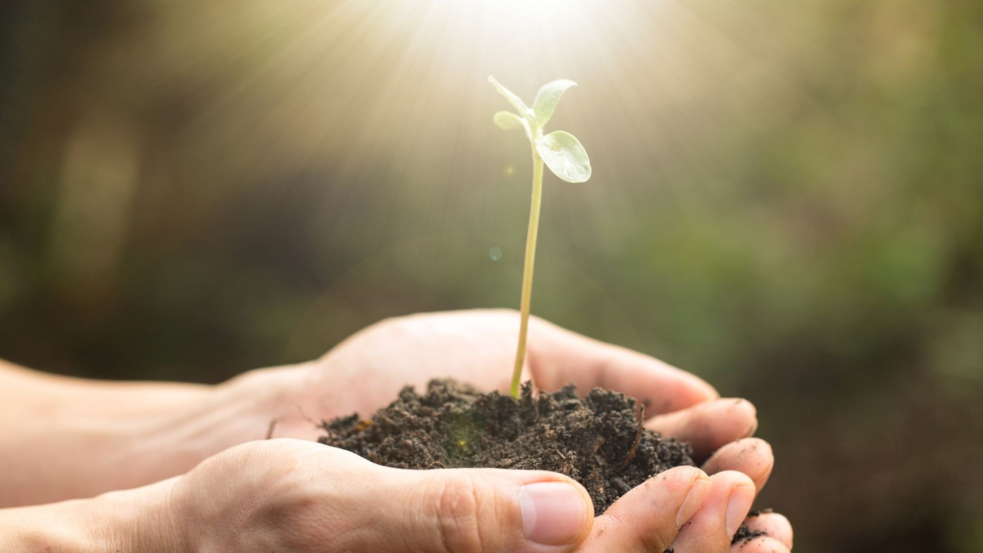 International Centre for Entrepreneurship (ICE) Foundation