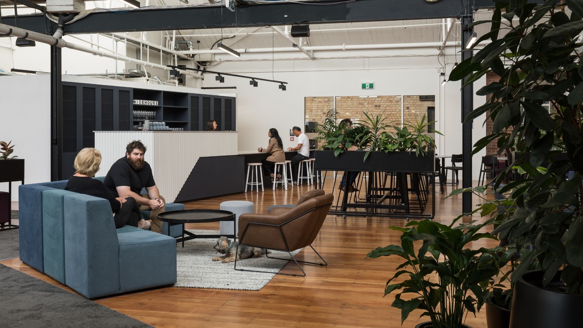 Coworking Space in Auckland | Learn, Meet & Grow!
